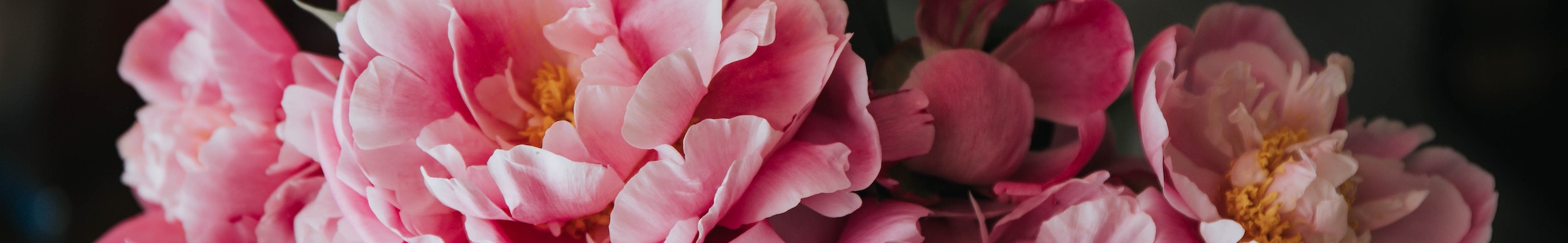 Amy Renee Smith-Fyffe