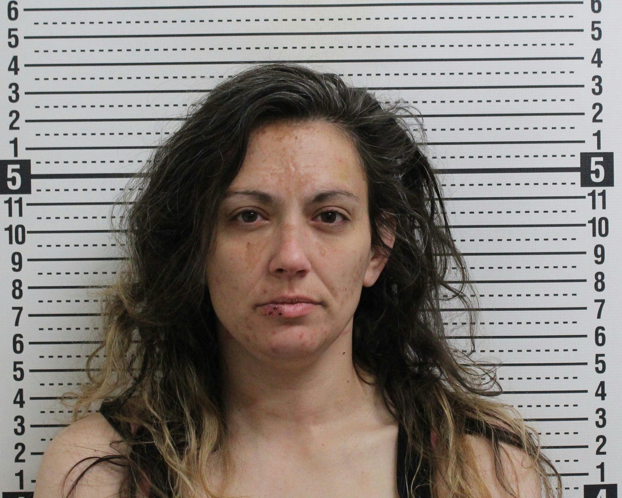 Chillicothe CPS investigation leads to drug raid and arrests