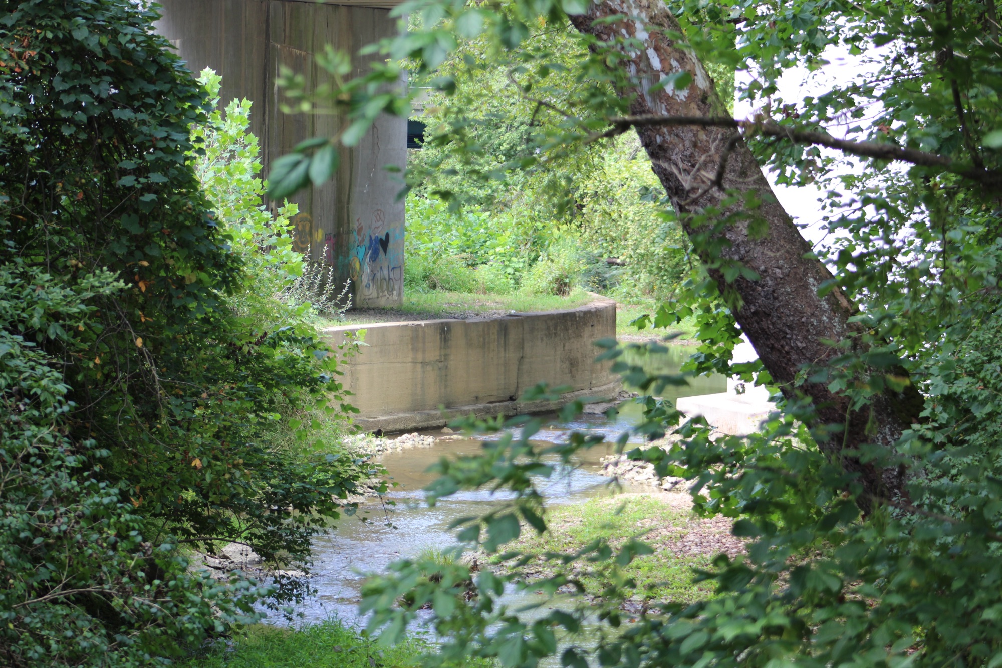 Plants in Pike Co. are radioactive as uranium enrichment begins again