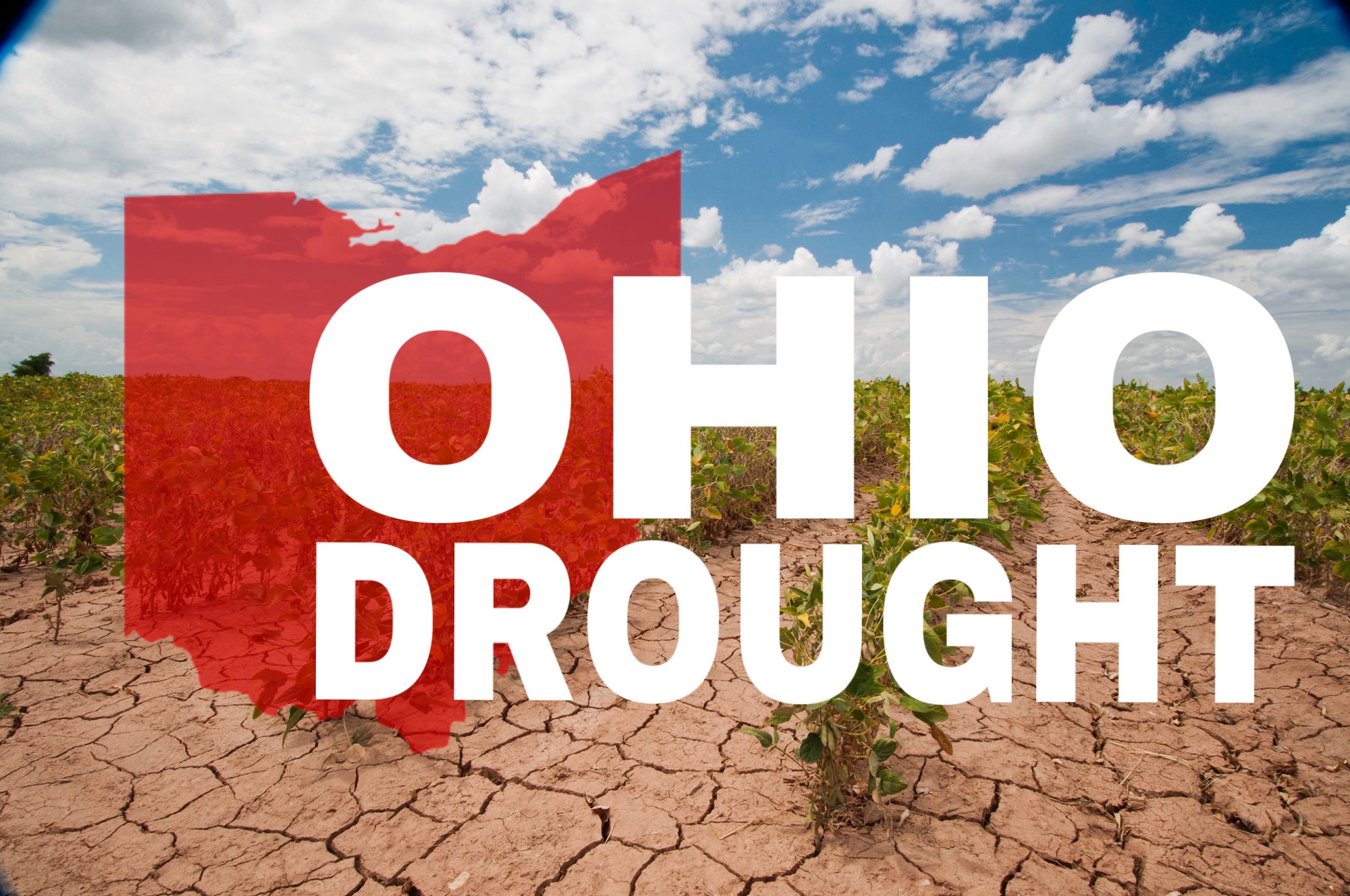 22 Ohio counties declared natural disaster zone amid severe drought