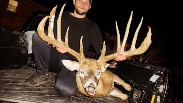 State record-setting buck under criminal investigation in Clinton ...