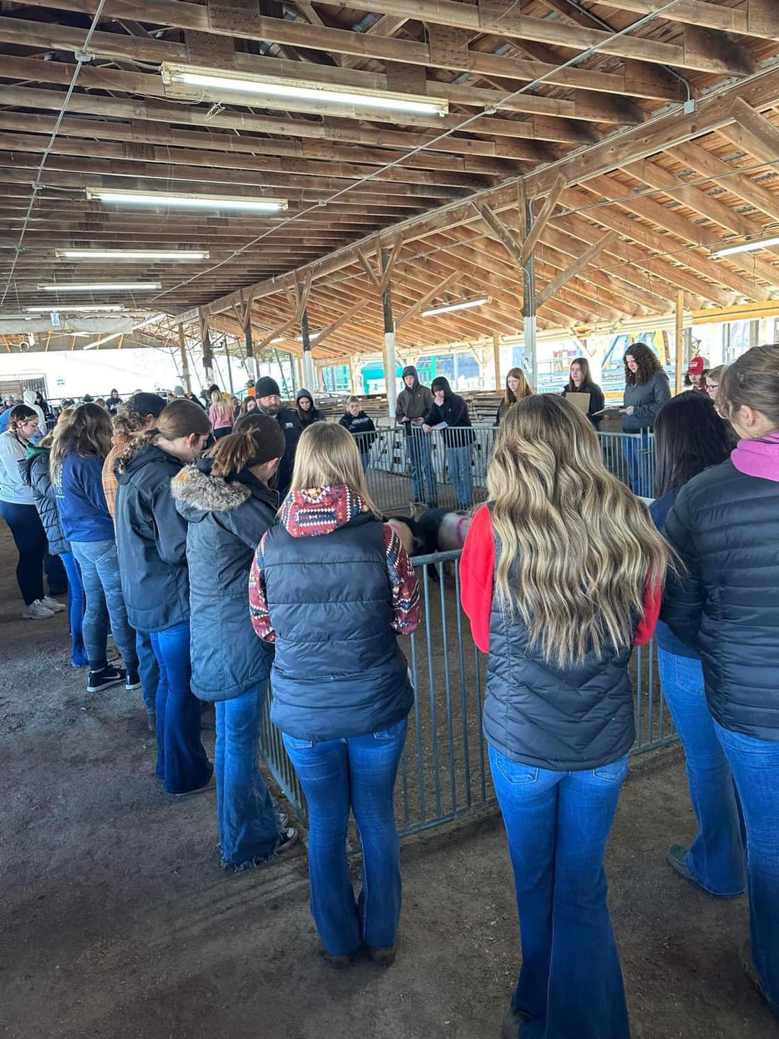 2nd Annual Livestock Judging Invitational draws over 300 students in ...