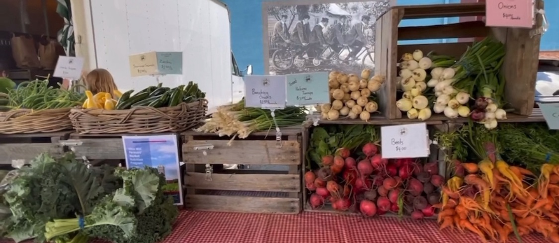 Expanding access to fresh produce: Ohio's WIC Farmers' Market Nutrition ...