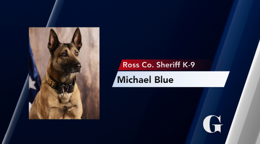 Ross Co. Sheriff's K-9 passes away after illness