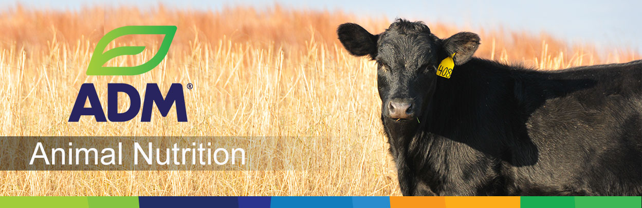 ADM recalls cattle feed due to potentially harmful nutrient levels