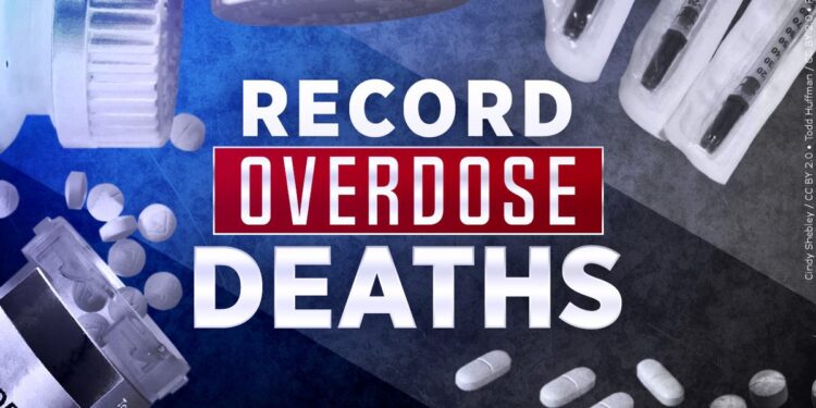 State officials warn of new horse medicine mixed with fentanyl and ...