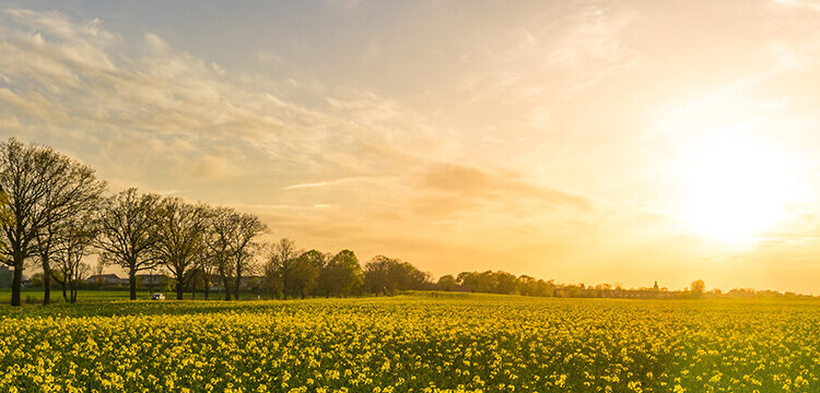 Deborah A. Butcher - Scioto Valley Guardian