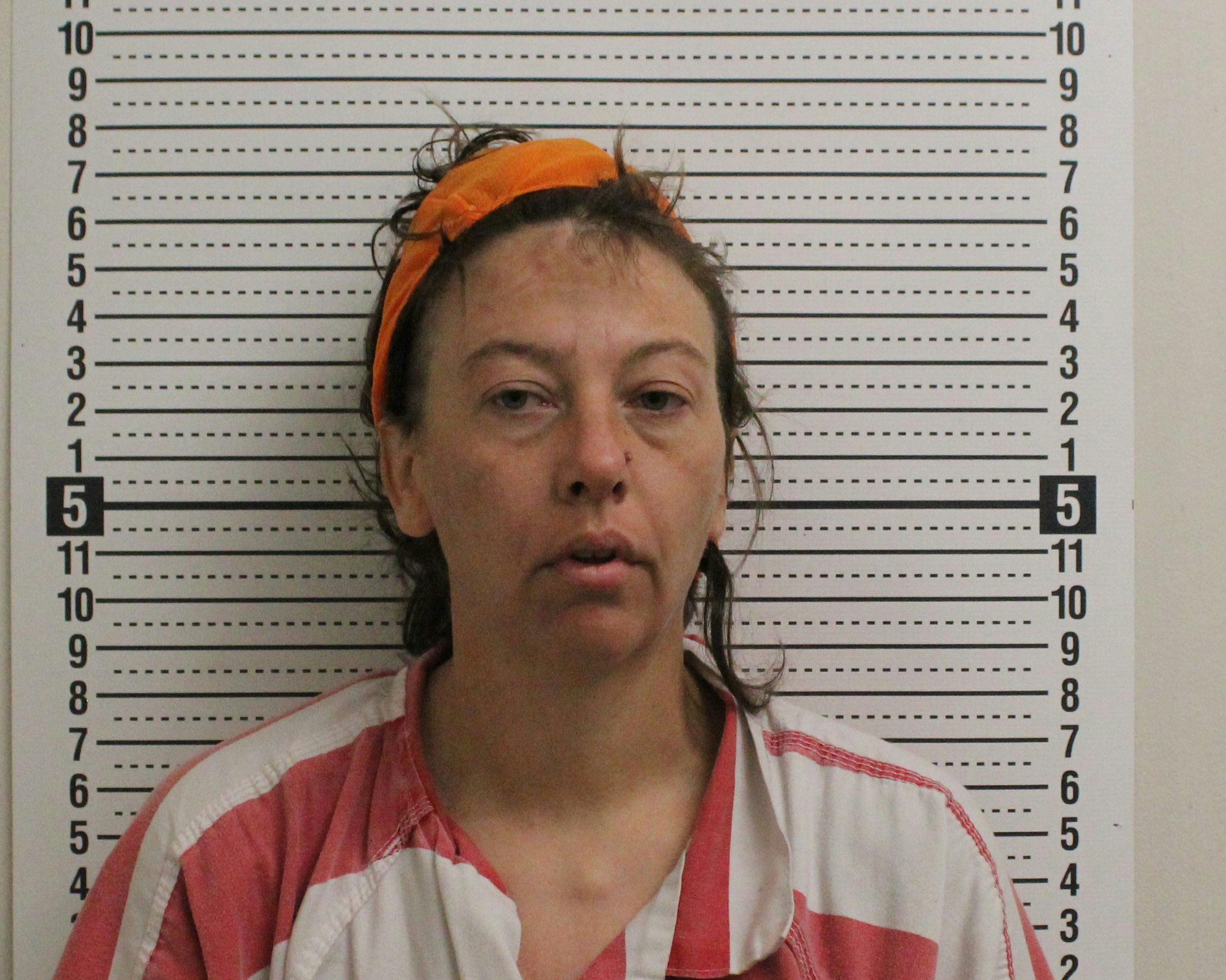 Woman who allegedly attacked two deputies appears in court