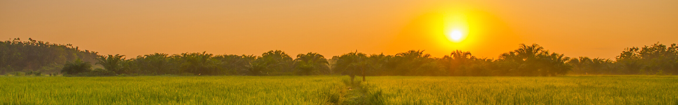 Donald "Don" Edward Hedrick