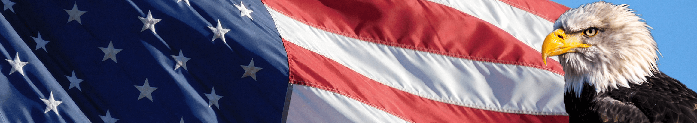 Larkin “Joe” McClellan - Scioto Valley Guardian