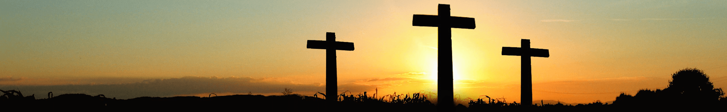 Mireille Joyce Grady McKell